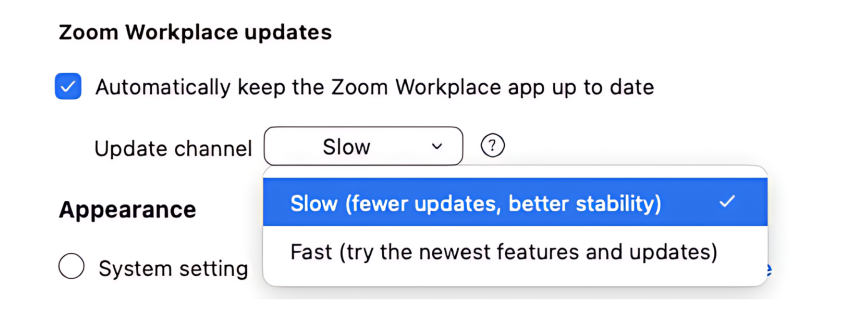Automatic Zoom Updates